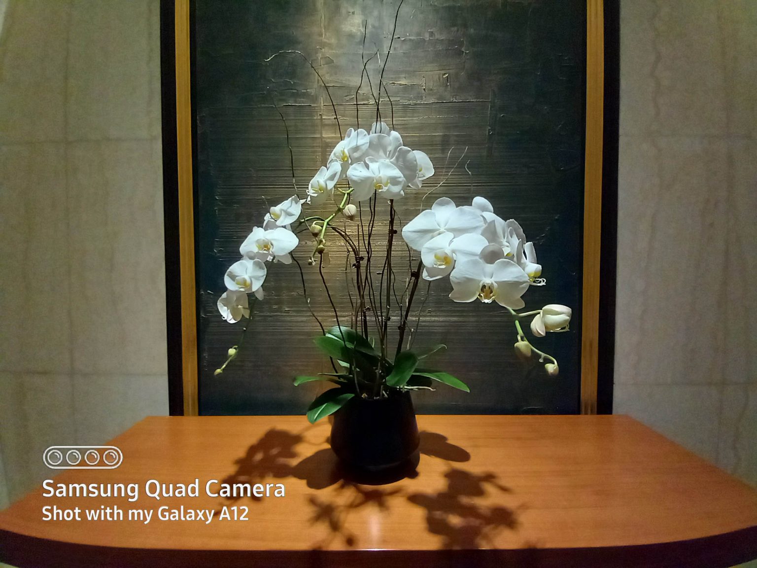 Review: Samsung Galaxy A12 Features, Camera Quality and Price - MegaBites