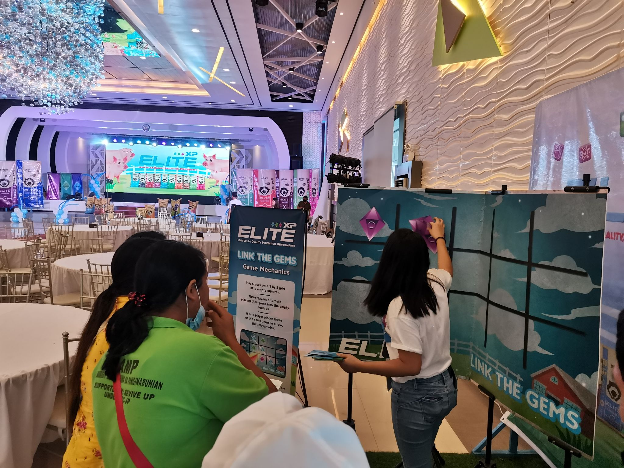 Pilmico’s improved premium hog feed brand to help swine farmers - MegaBites