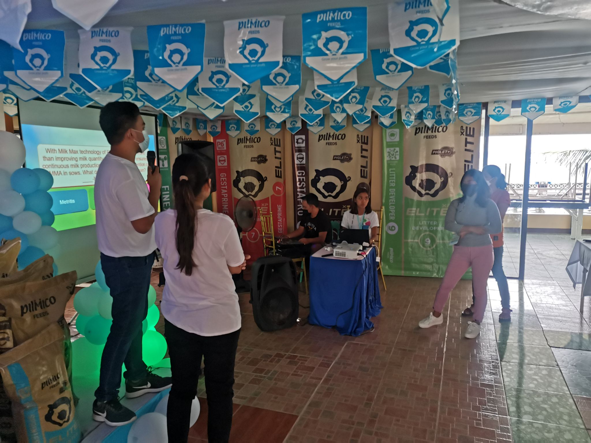 Pilmico’s improved premium hog feed brand to help swine farmers - MegaBites