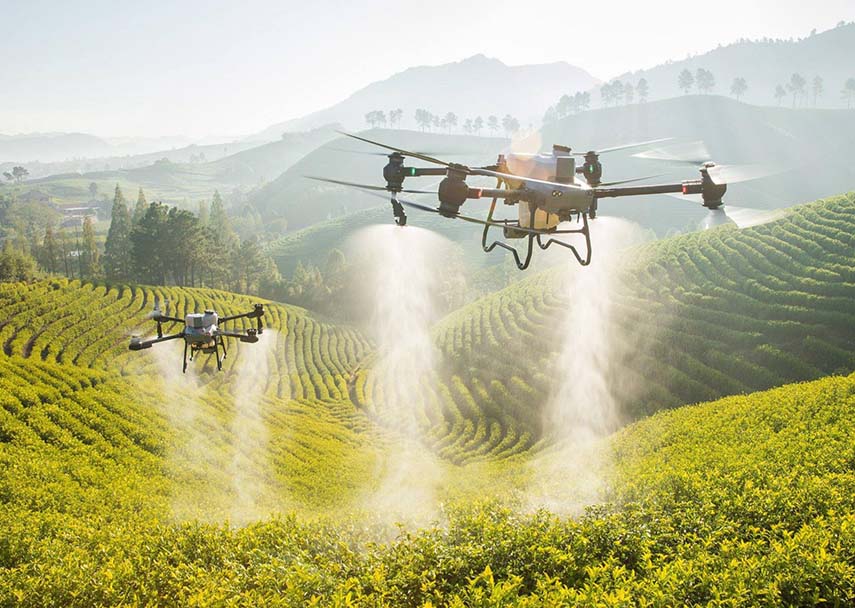 DJI Launches Agriculture Drones in the Philippines to Enhance Precision ...